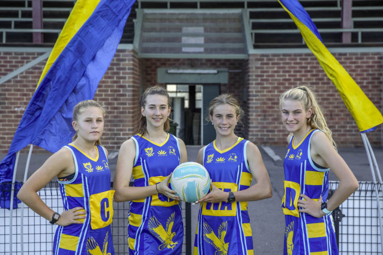Hamilton Hawks Netball Teams - Hamilton Rugby Club