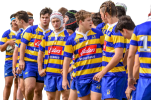 Our Club History - Hamilton Hawks Rugby Club | Go The Blue & Yellow