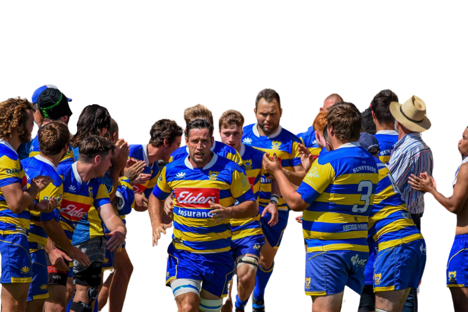 Home - Hamilton Hawks Rugby Club | Founded 1963