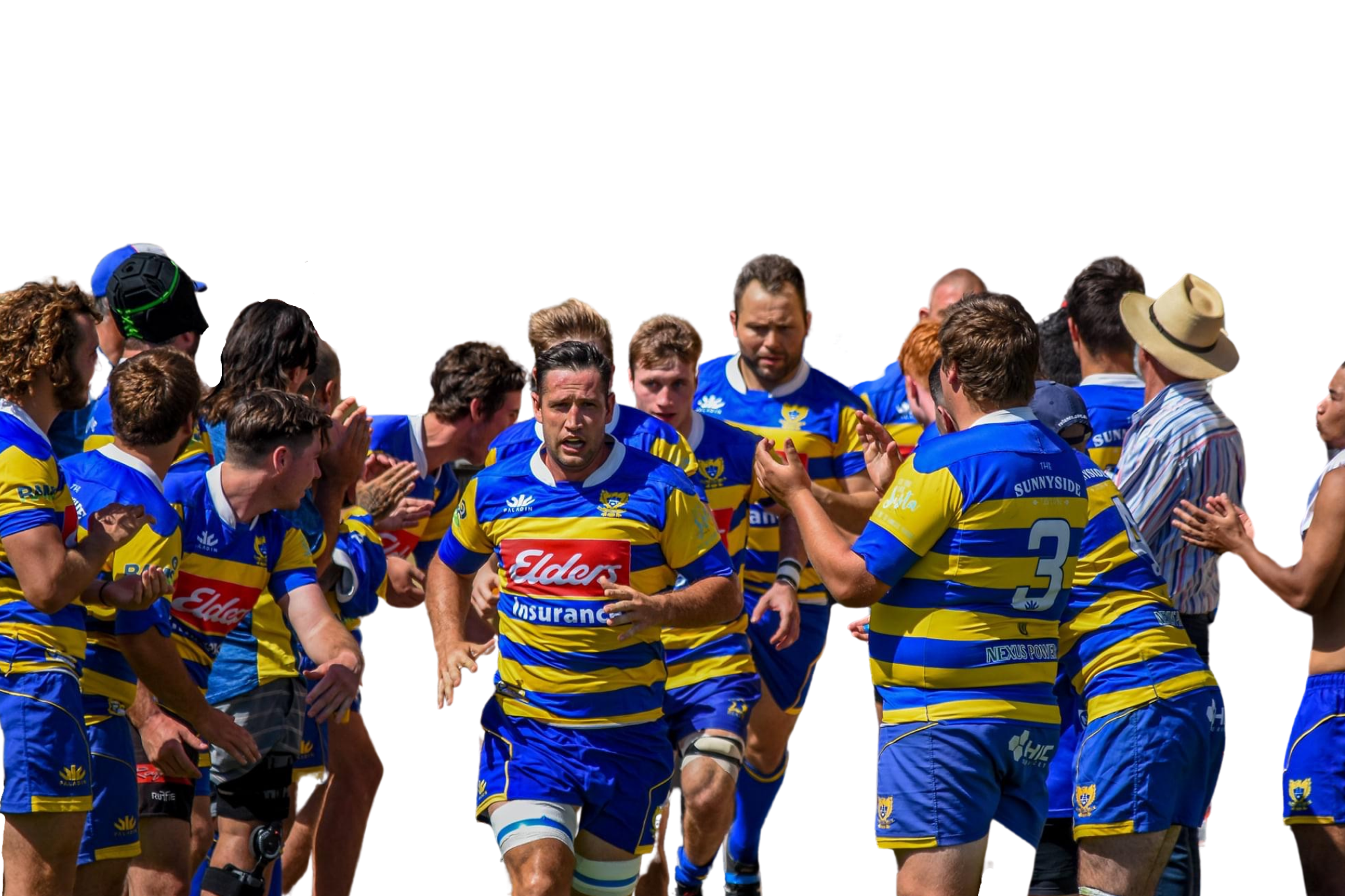Home - Hamilton Hawks Rugby Club | Founded 1963
