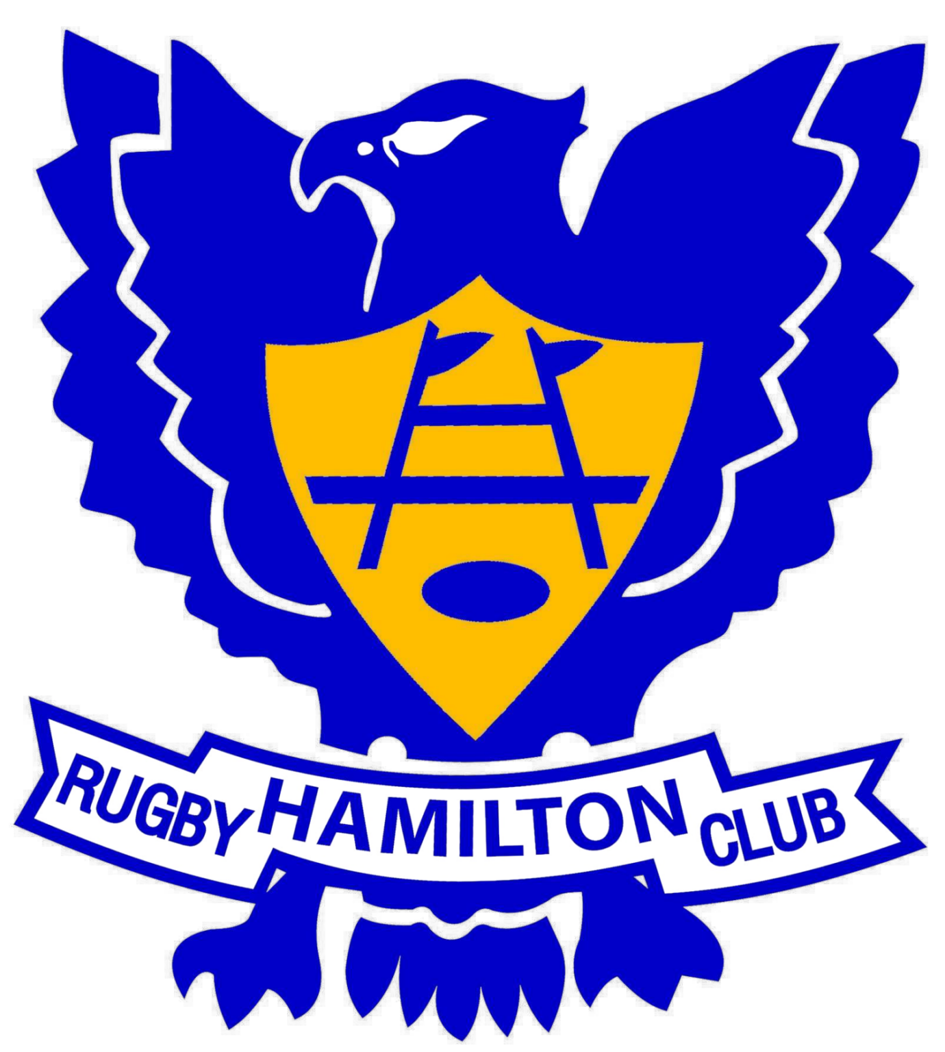 Hamilton Hawks Rugby Whale 7s - Hamilton Rugby Club