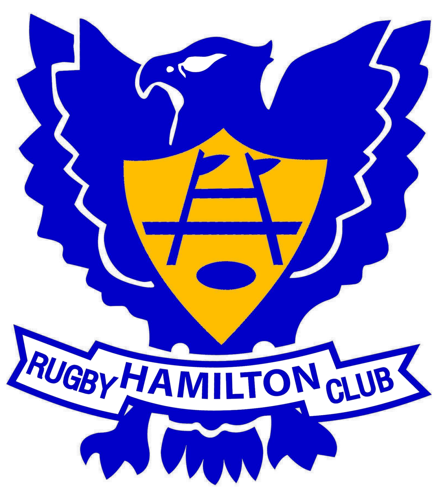 Home - Hamilton Hawks Rugby Club | Founded 1963